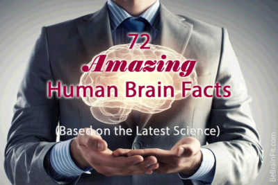 72 Amazing Human Brain Facts (Based on the Latest Science) - San Diego ...